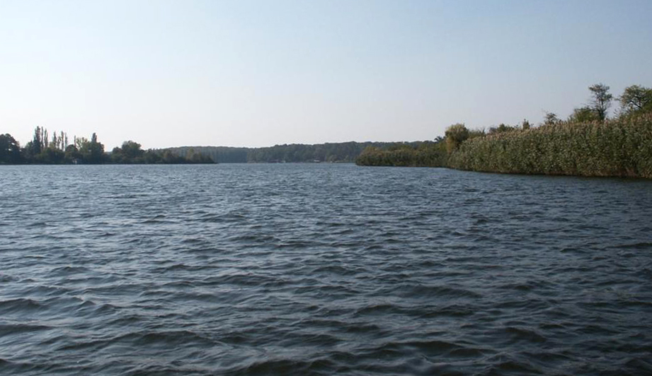 Pasiunea Pescuitului: Lacul Snagov