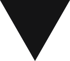 DONALD SINGER: HEALTH, ART AND SCIENCE: New EU black triangle scheme for medicinal products