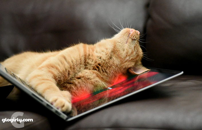 GLOGIRLY: Waffles On The Computer