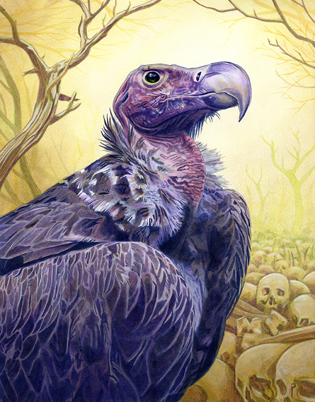 Alan Hawley Illustration: Vulture Painting