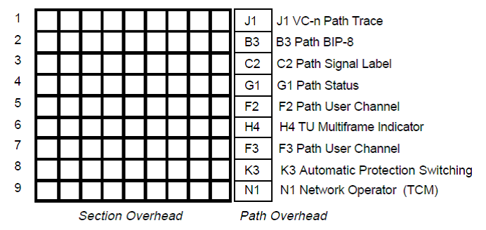 Optical Networking: Synchronous Digital Hierarchy (SDH)