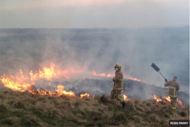 The Heather Trust: England: Wildfire in the news