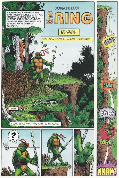 TMNT Entity: Donatello: The Ring