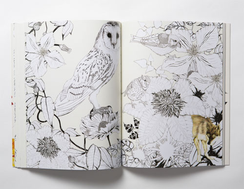 My Owl Barn: Birdtopia: Coloring Book by Daisy Fletcher