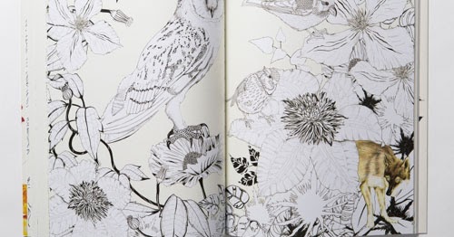 My Owl Barn: Birdtopia: Coloring Book by Daisy Fletcher