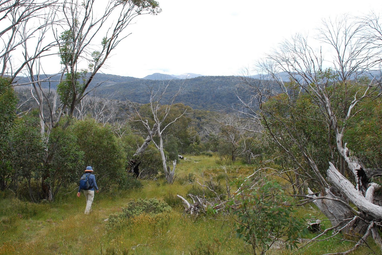 walkabouters club of victoria inc: Walkabouter's Summer Camp, 2011.