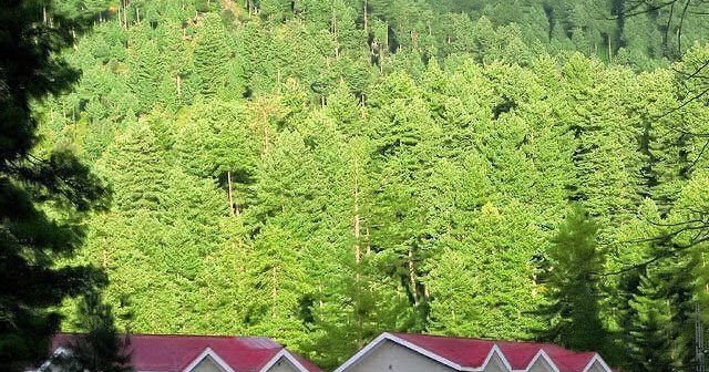 BEAUTIFUL PLACES TO VISIT : Tatta Pani Rawalkot