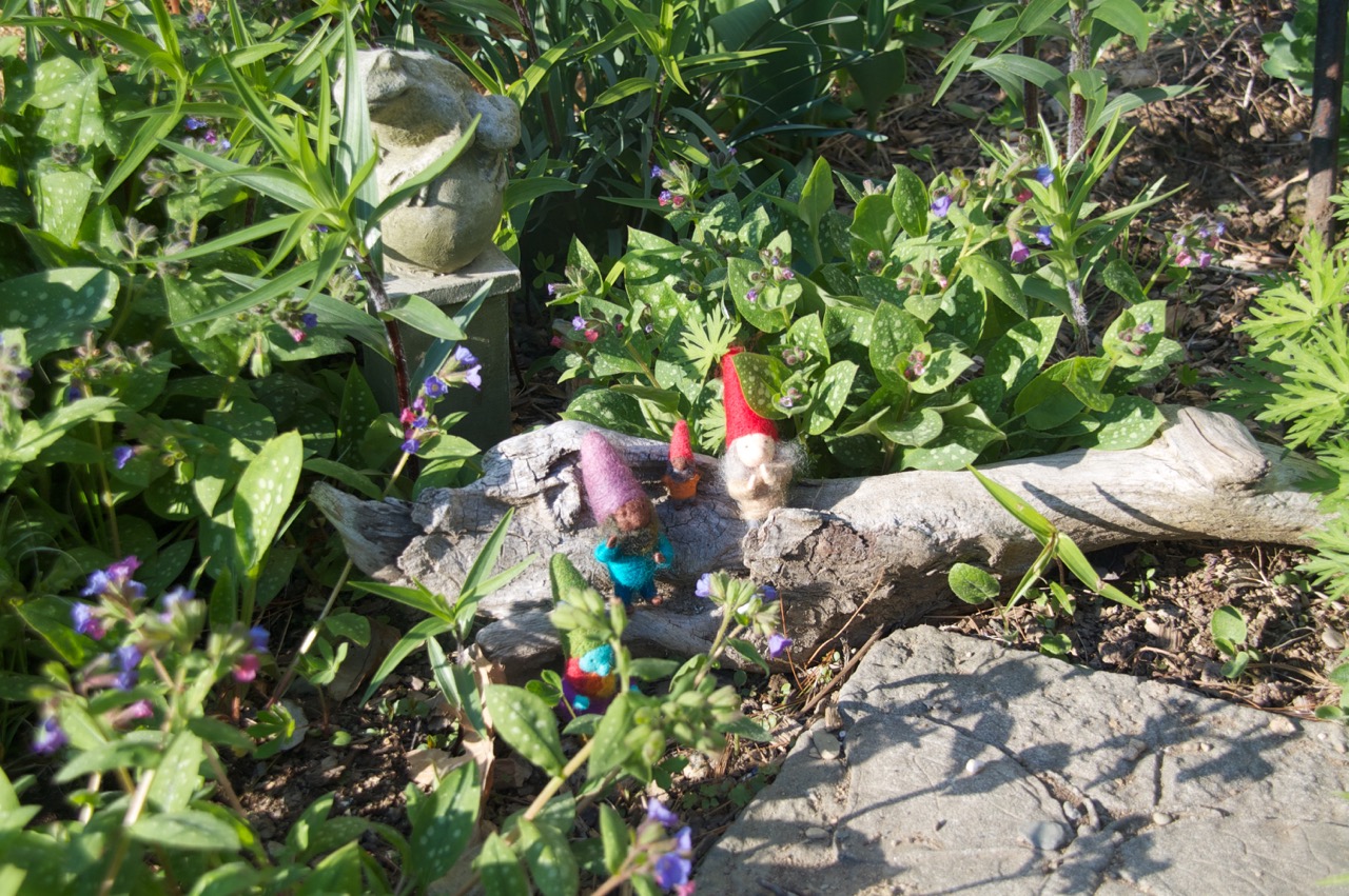 A Gnome A Day: Happy New Year! It's a Gnomey Makeover!