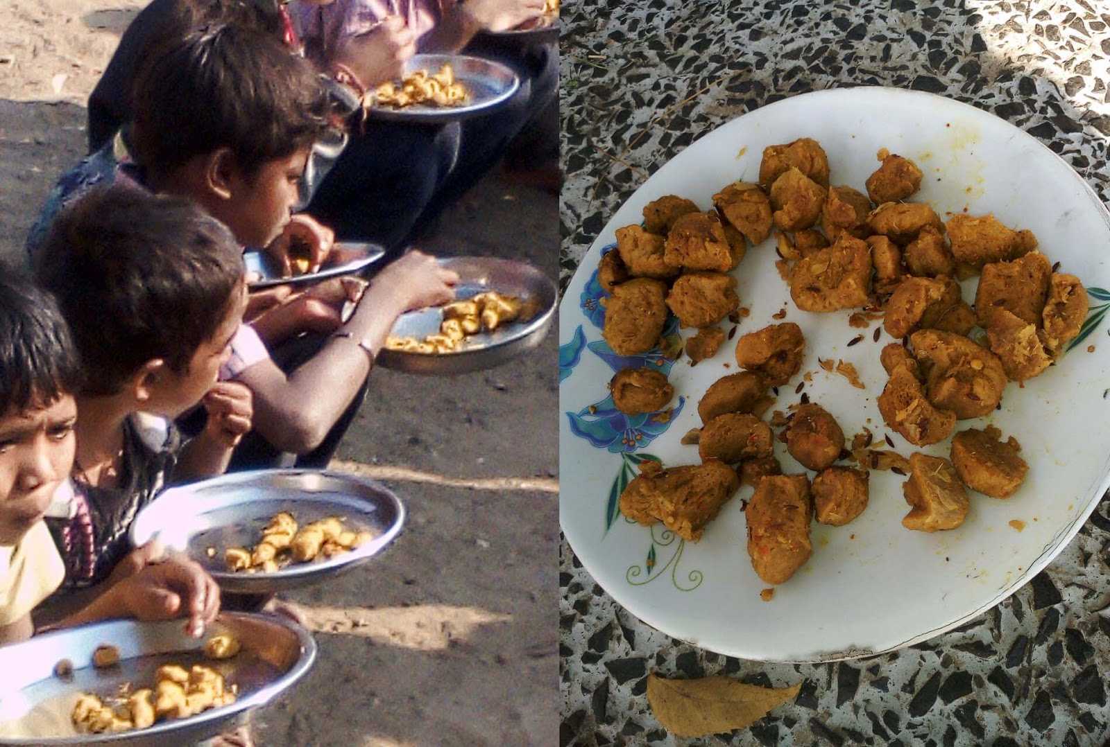 Anaarkali - The Saga of Bhil Adivasi Indigenous People: Philanthropy at ...