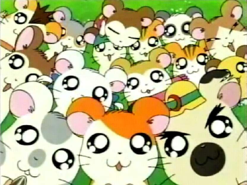 Orgulho em minha vida: HAMTARO: MELHORES ANIMES 1