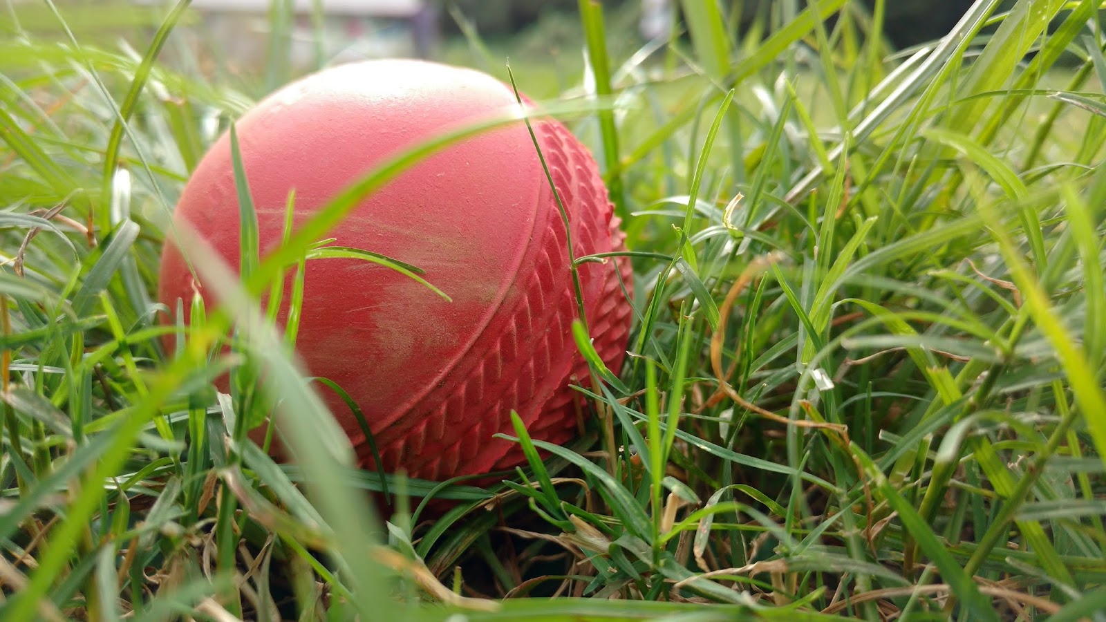 Timeswift24 List Of 5 Interesting Unknown Facts About Cricket Balls timeswift24-list-of-5-interesting-unknown-facts-about-cricket-balls