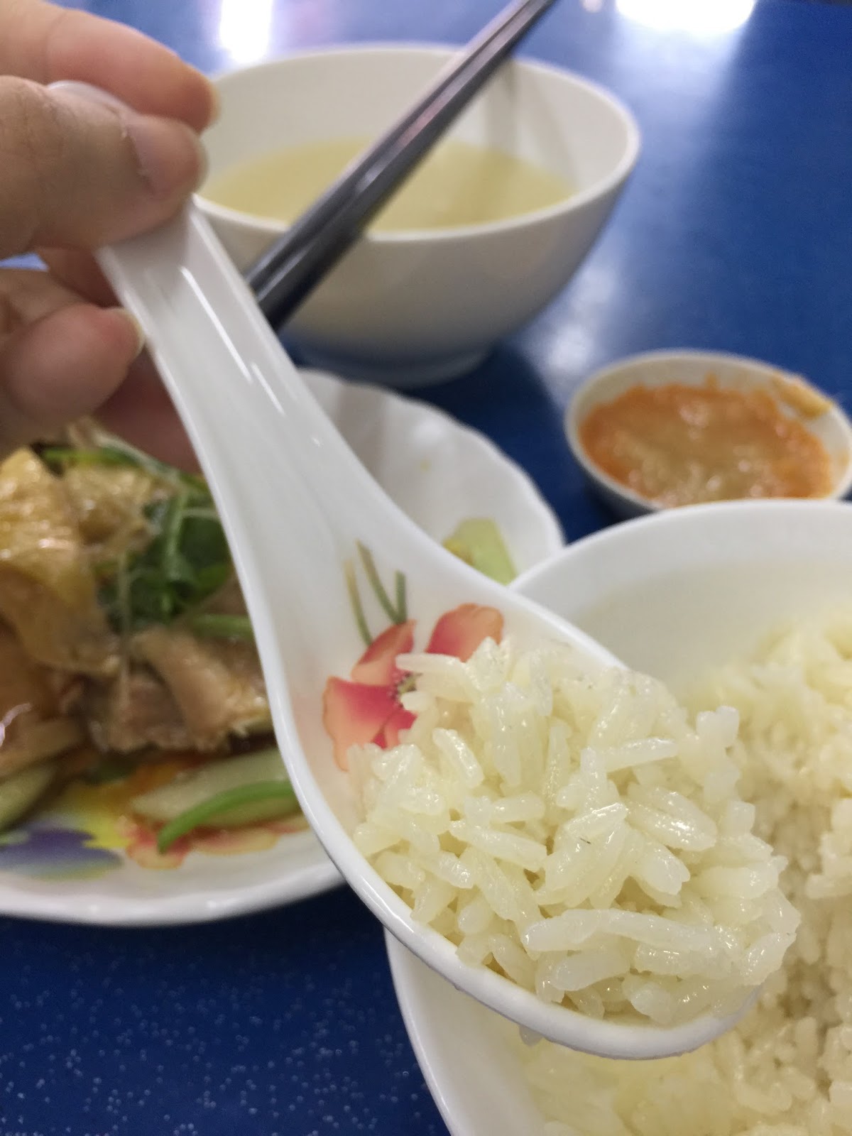 Adventures of RaRa and Reddy: Chicken Rice Fix @ Kampong Chicken Eating ...