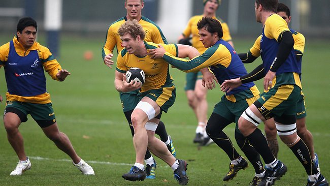 Tom Brady: David Pocock Australian Rugby Player