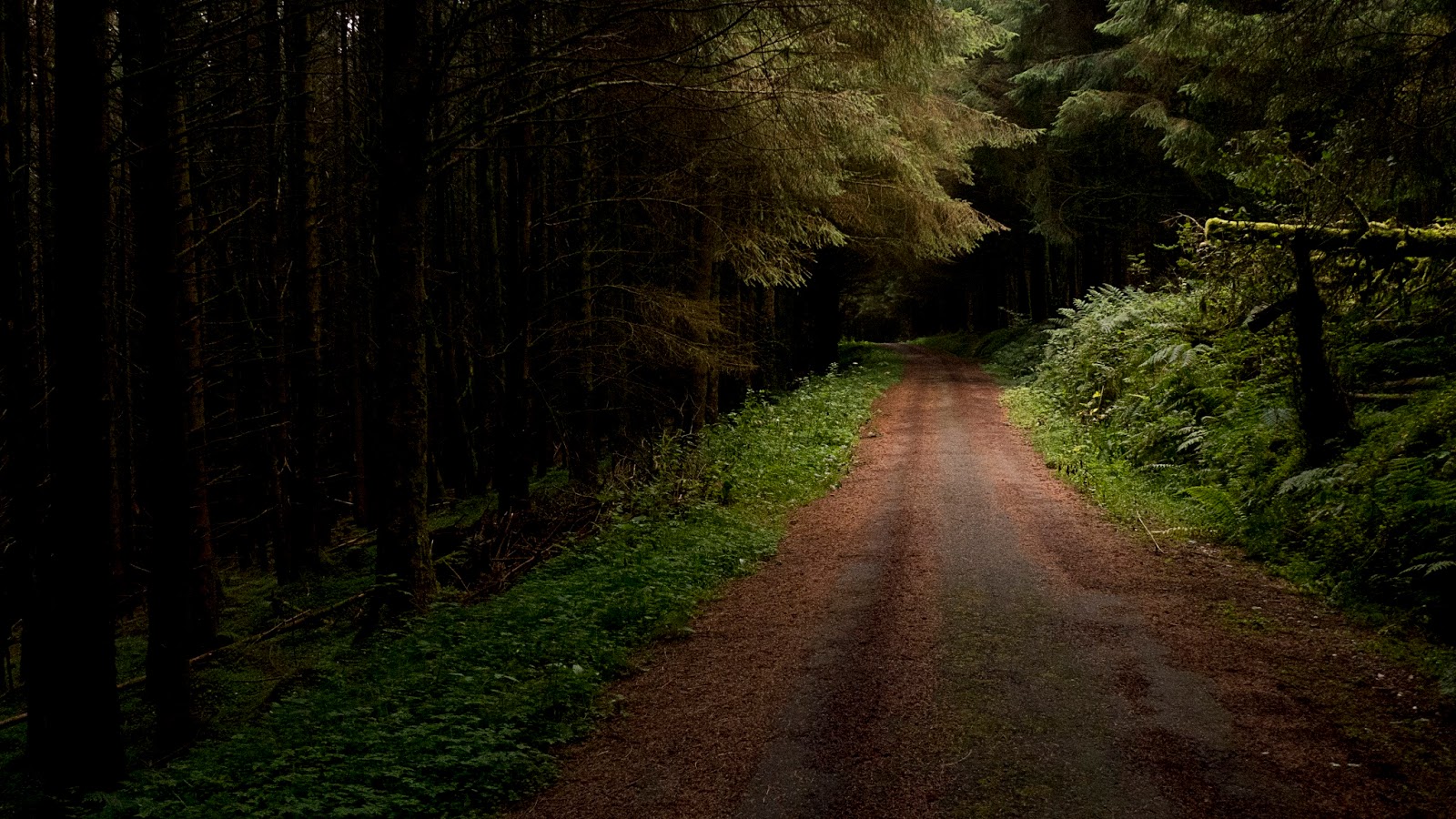 A Backpacker's Life: Ballycastle and The Moyle Way