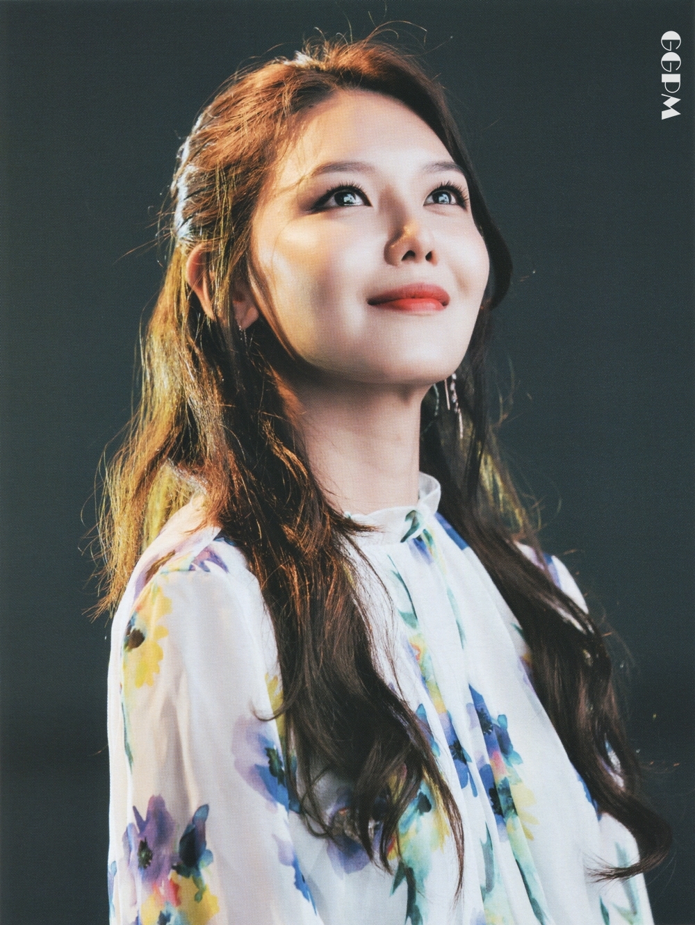 SOOYOUNG 2019 SEASON'S GREETINGS 'Shining scenerY' - DESK CALENDAR ...