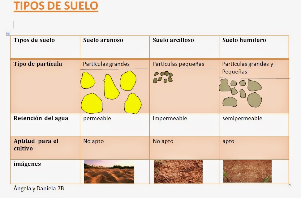 Bitacora De Angi Tipos De Suelos