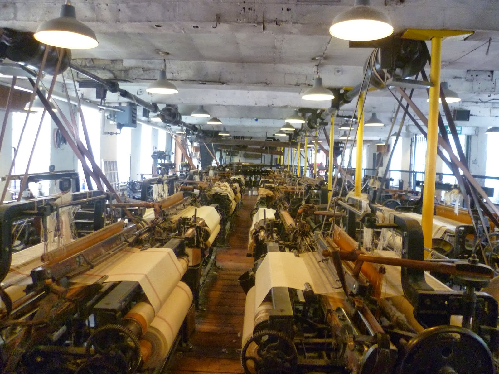 Bellarine-Traveller2