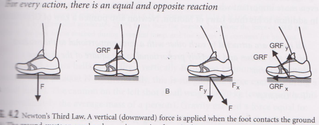 AT THE LINE: Shooting The Traditional Free-Throw