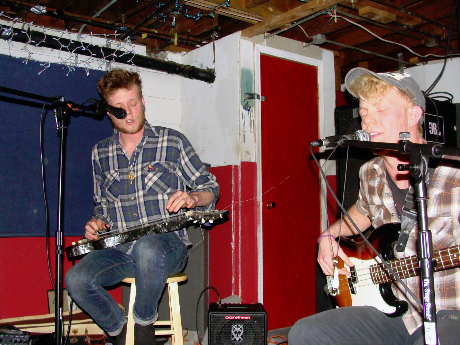 The Maine Vegan: Folk Punk Show!