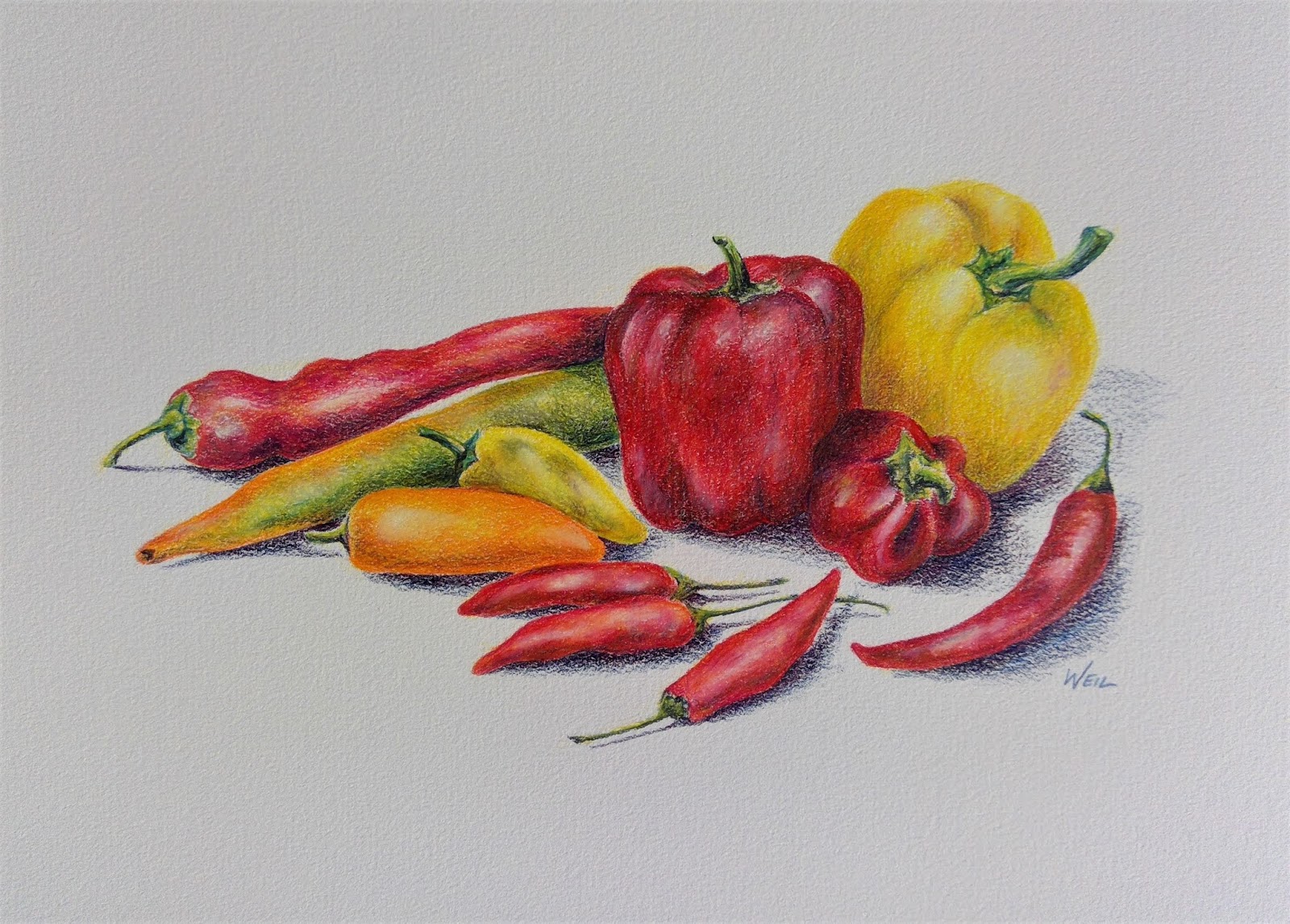 Vegetable Pencil Drawing