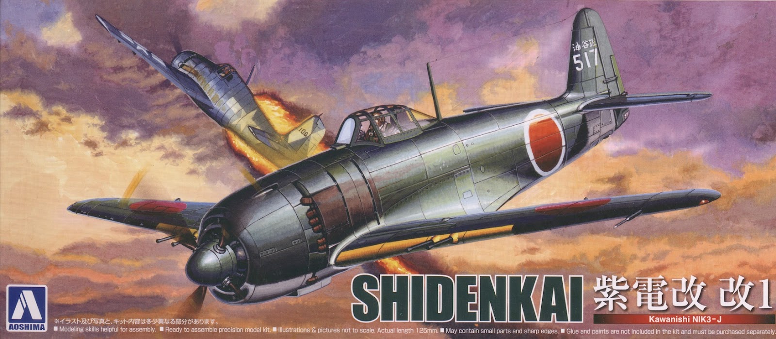 Aviation of Japan 日本の航空史: Aoshima's New Shiden Kai