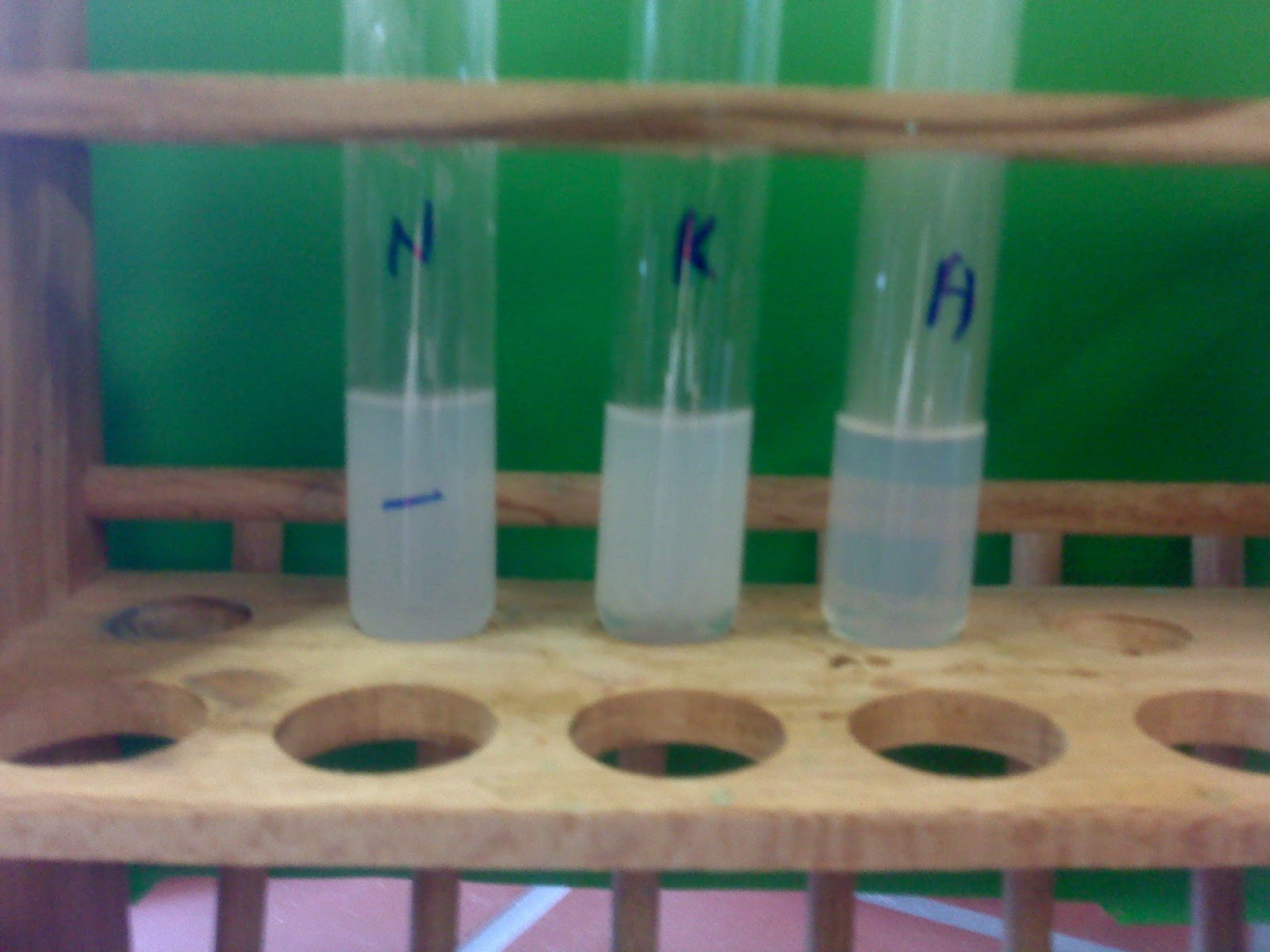 Projekt Ernaehrung - Der Bioboom: Nachweis für Chlorid - und Iodidionen ...