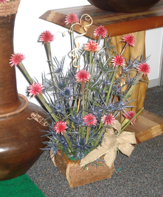 conociondo la naturaleza del guainia: FLOR DE INIRIDA