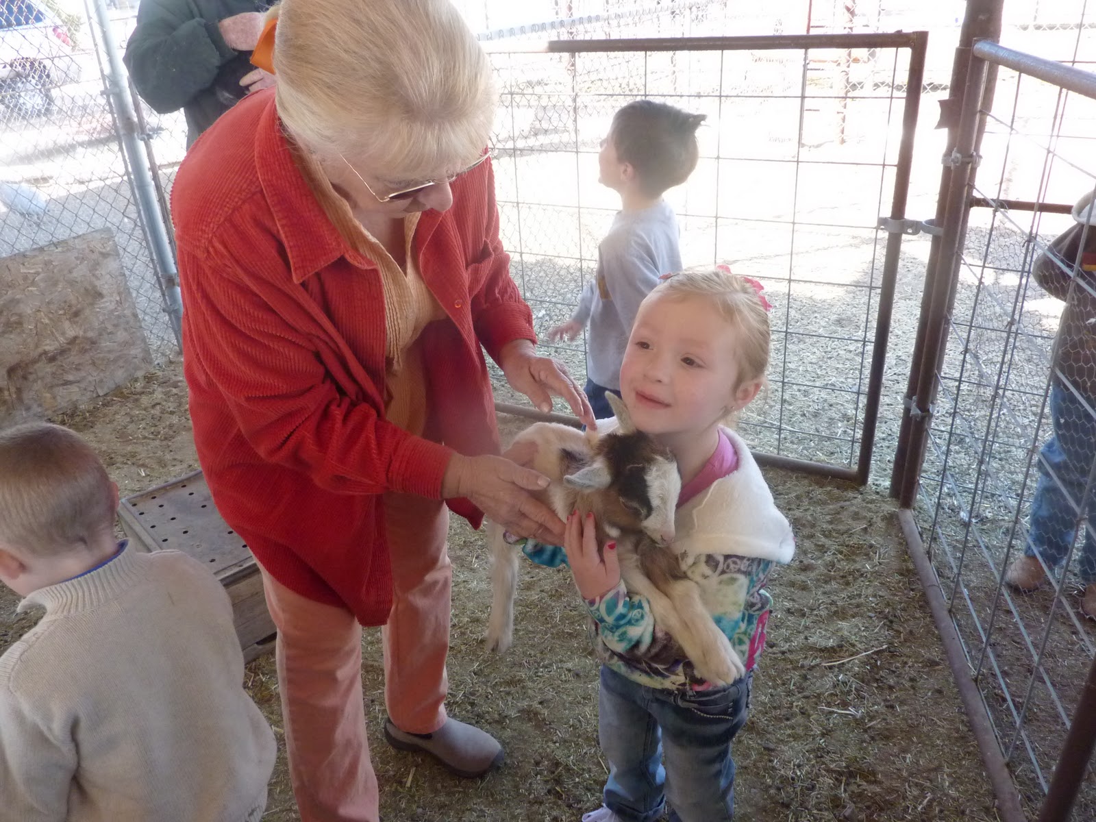 Little Learners Preschool: Trip to the Adams' farm!