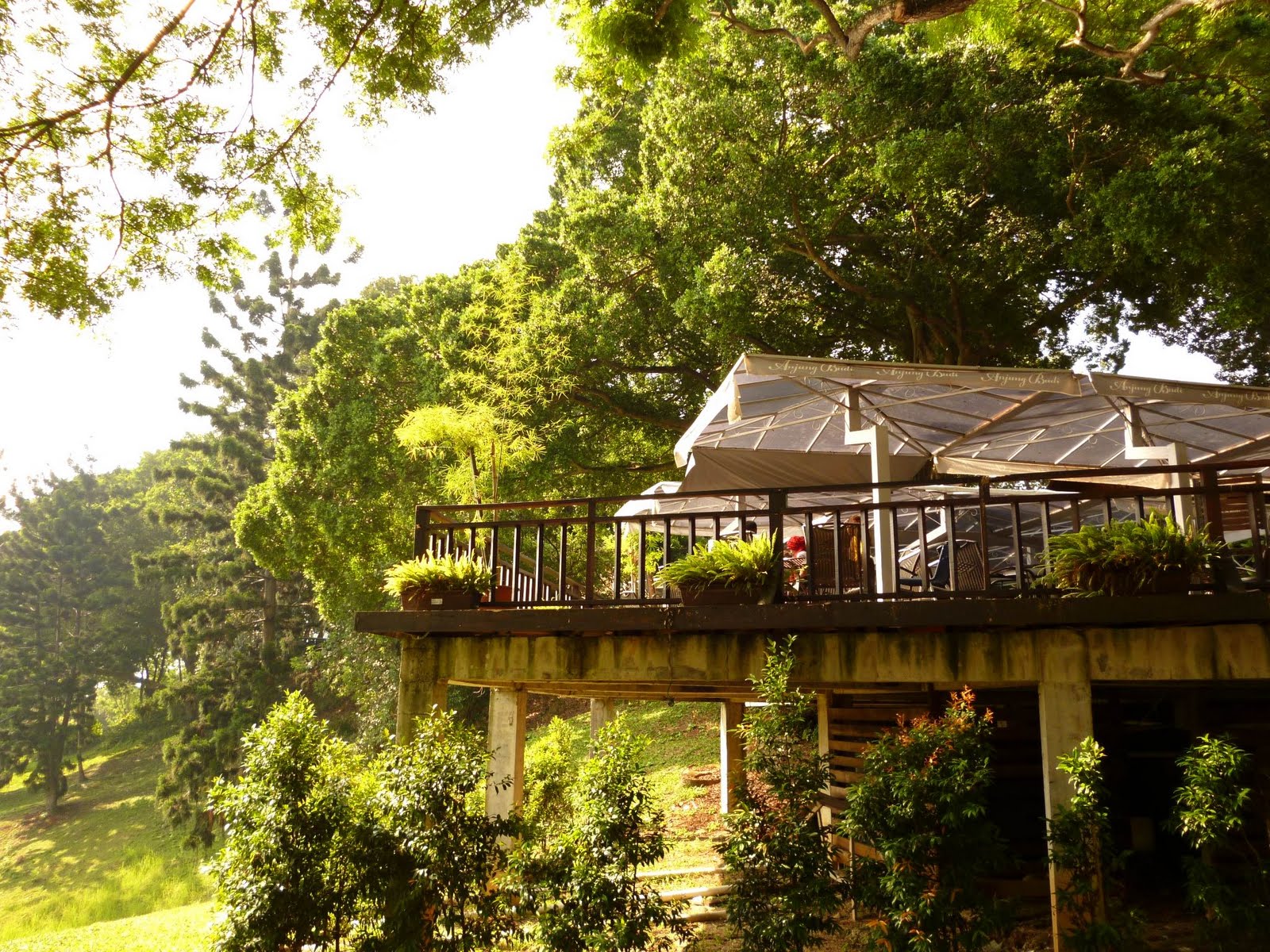 hari hari aku: aku selalu suka tengok anjung budi usm