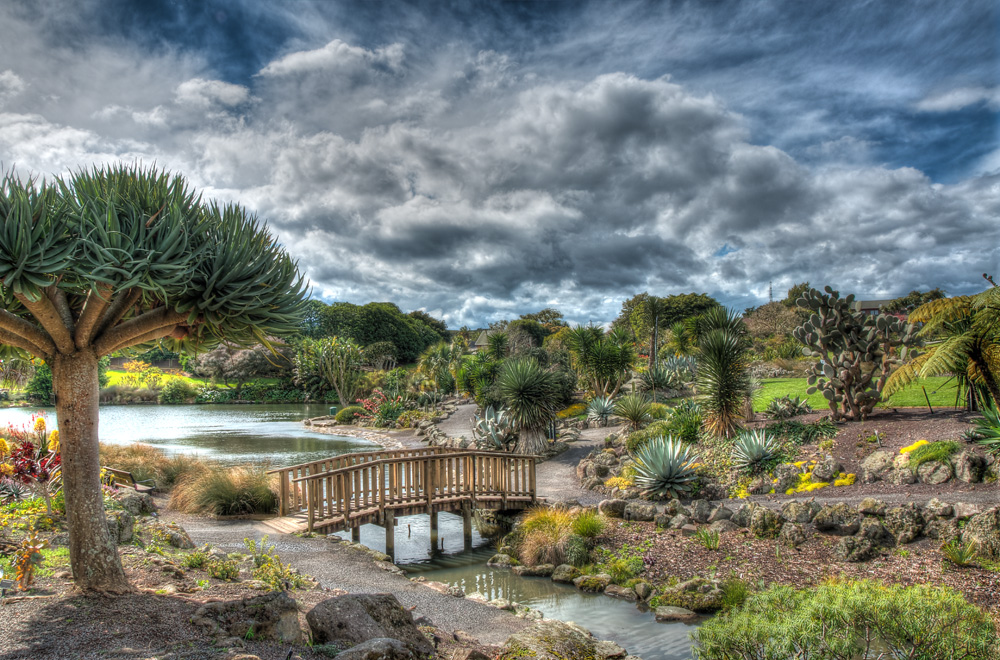 Dave’s Garden: A Visit to Auckland’s Botanic Gardens