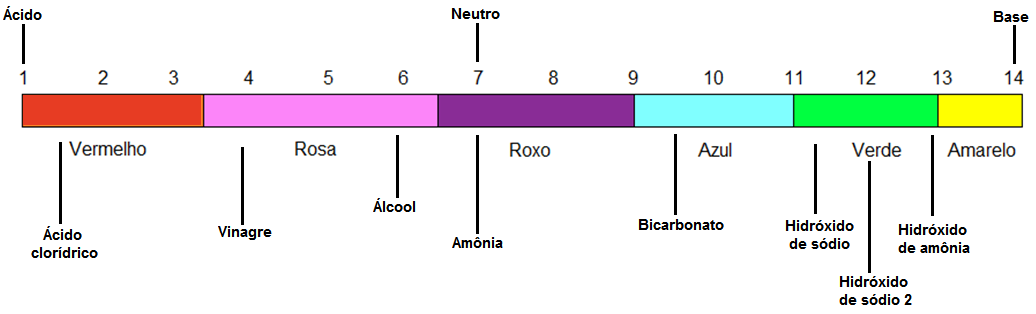 Nosso Solo de cada dia: Atividade Experimental: Extrato de repolho roxo ...