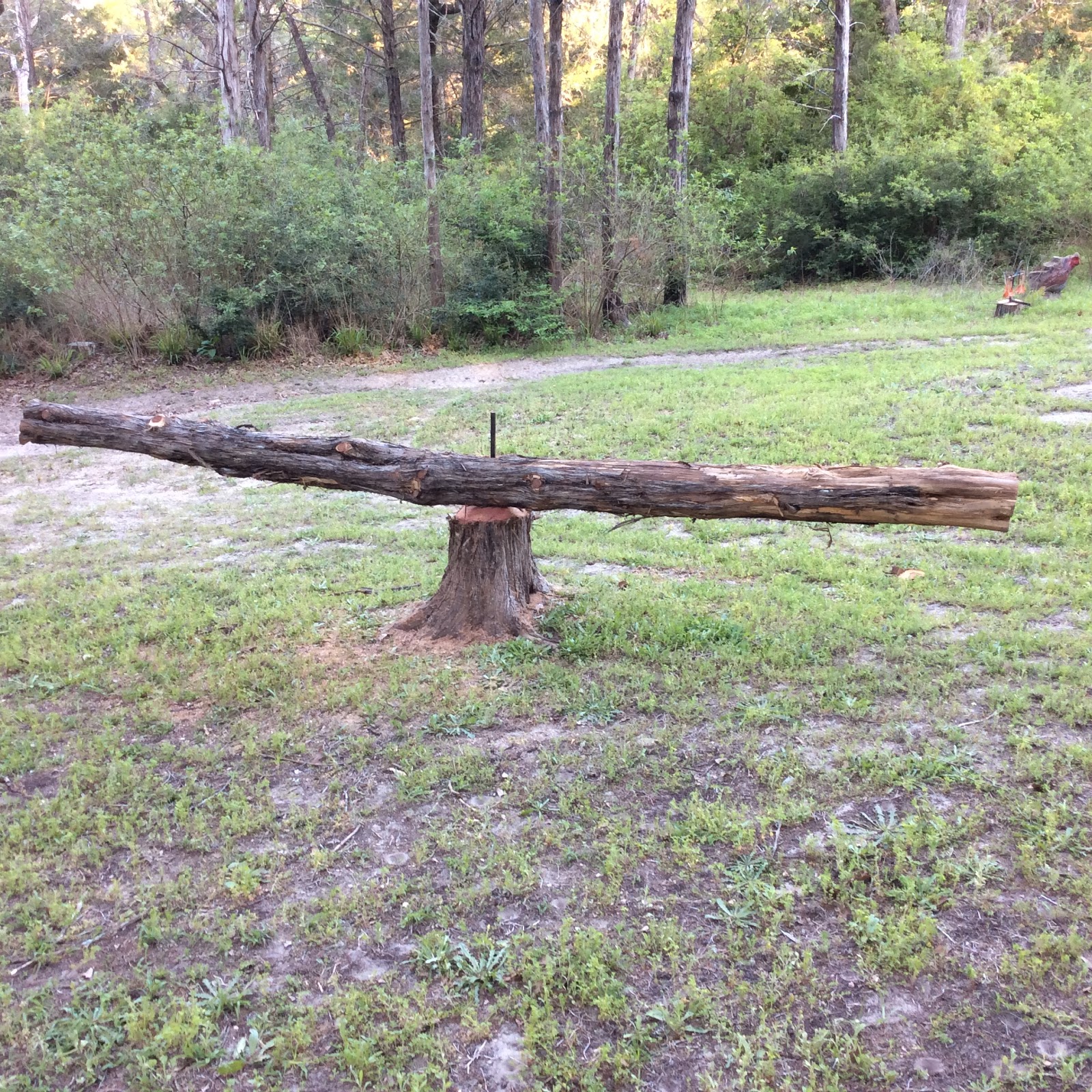 Lisa Bonassin's Garden: Flying Jenny