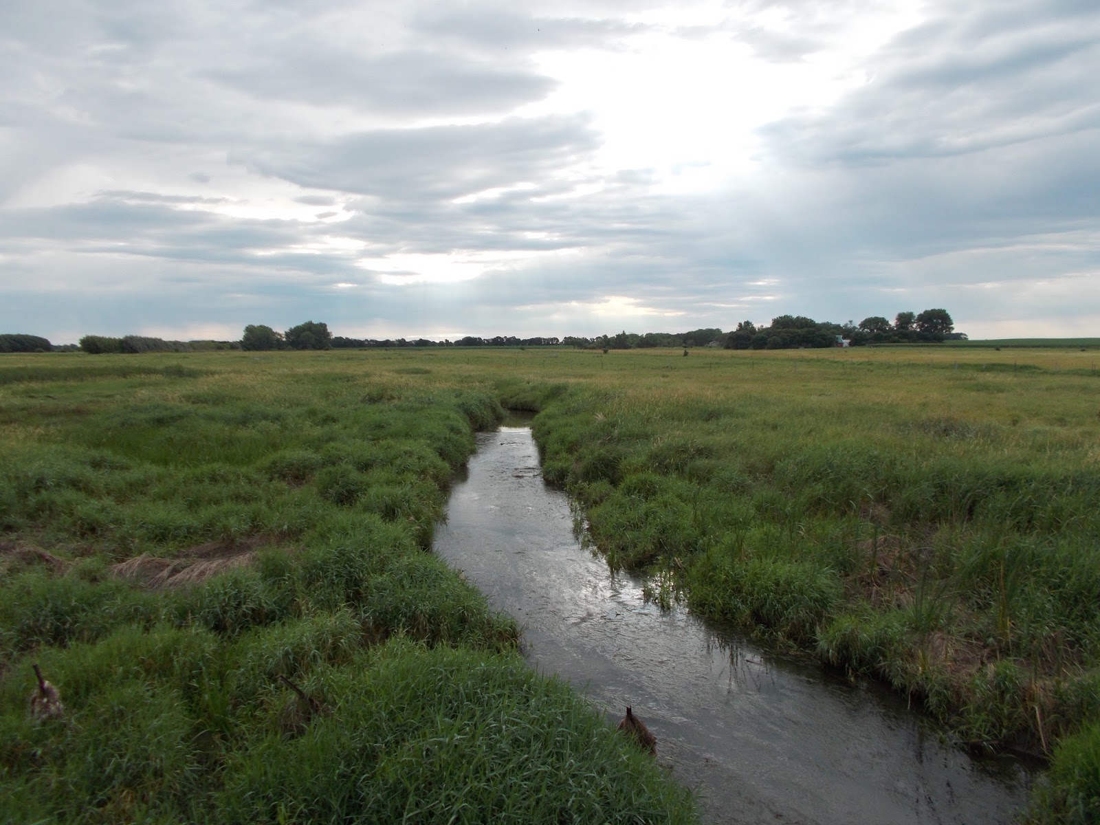 Kelsey's Notebook: The Slough of Delight