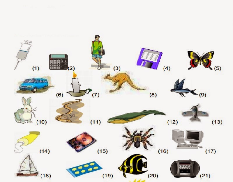 1TDSB - Java: Polimorfismo