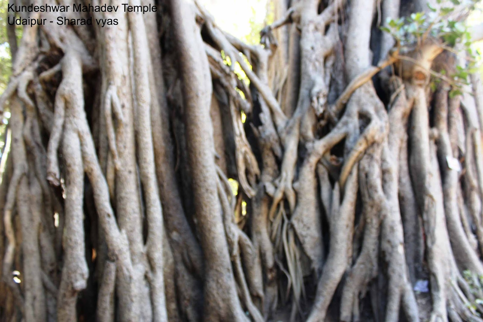 Travel with sharad vyas: Kundeshwar Mahadev Temple - Udaipur ...