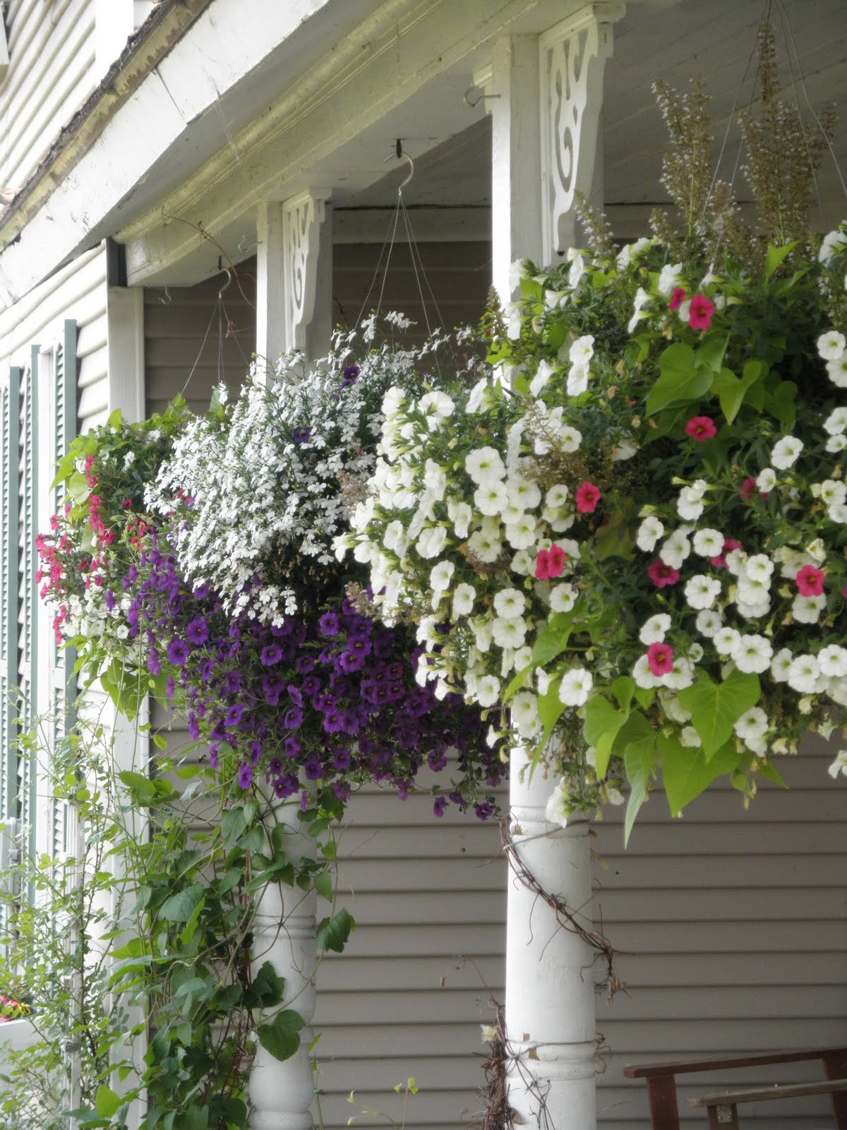 Beautiful Hanging Baskets and a Giveaway | Rusty Hinge