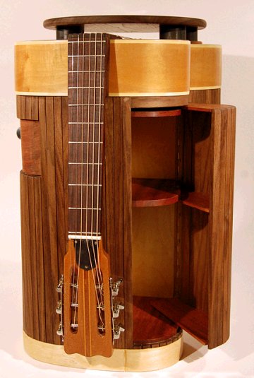 Dishfunctional Designs: The Upcycled Guitar
