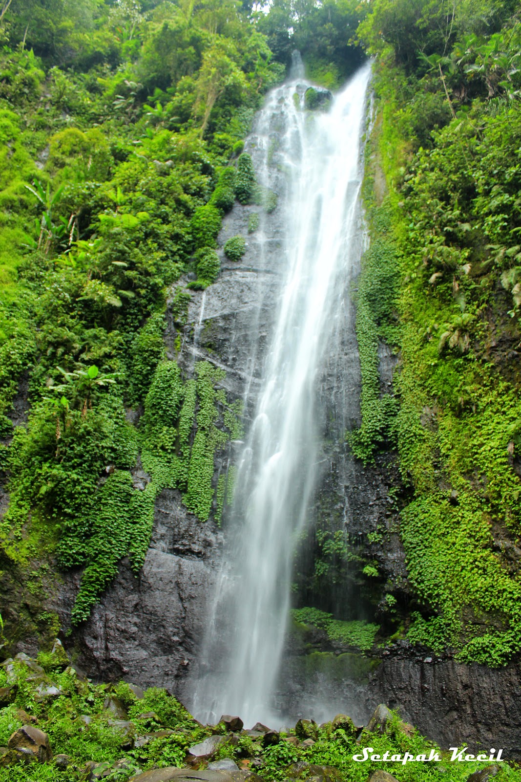 SETAPAK KECIL: Pondok Halimun - Tempat Pelarian