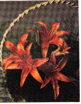 garden design: Flowers Leli