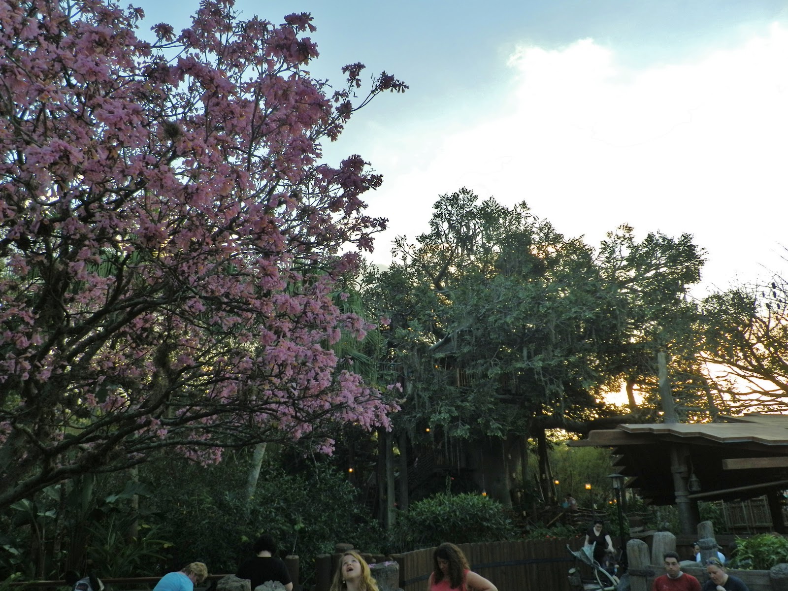 Disney Vacation Kingdom: Swiss Family Treehouse