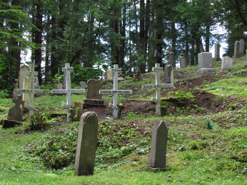 Grandma's Grand Adventures: Sitka, Mt. Edgecumbe (a volcano), starfish ...