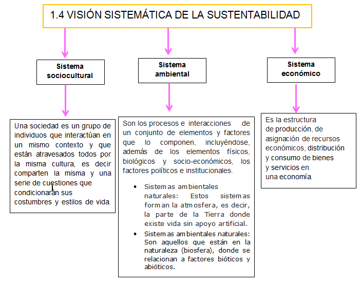 DESARROLLO SUSTENTABLE: 1.4 VISIÓN SISTEMÁTICA DE LA SUSTENTABILIDAD