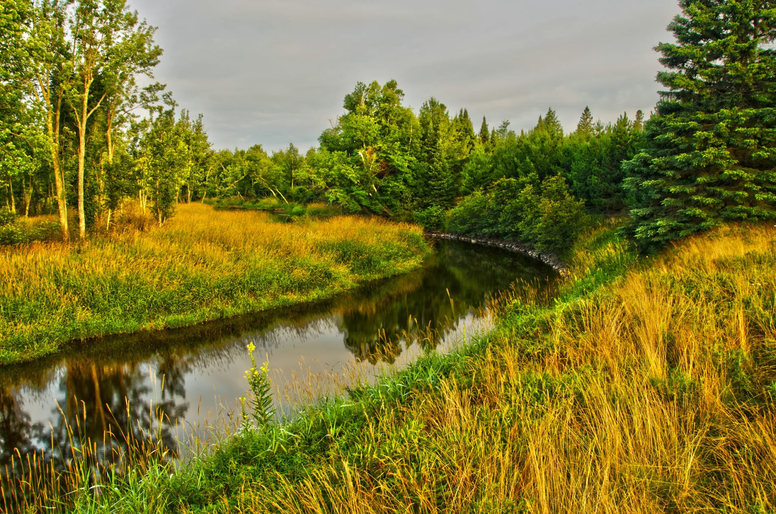 Stewards of the Northwoods: Wisconsin Master Naturalist Program ...