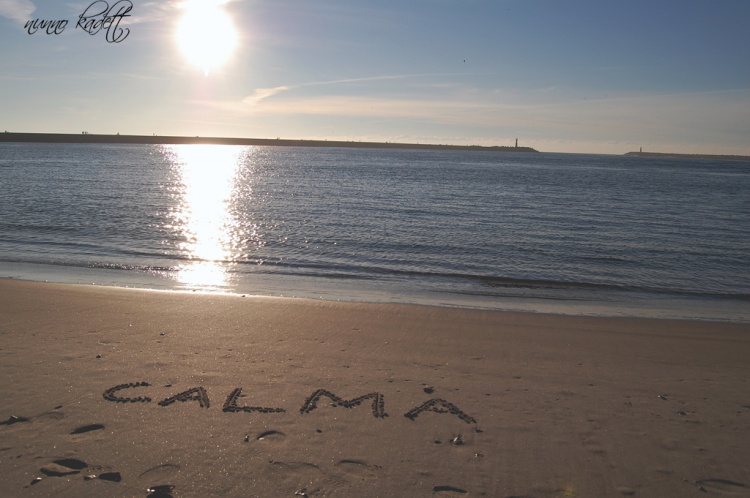 BLOG DA CAGADA: ANSIEDADE