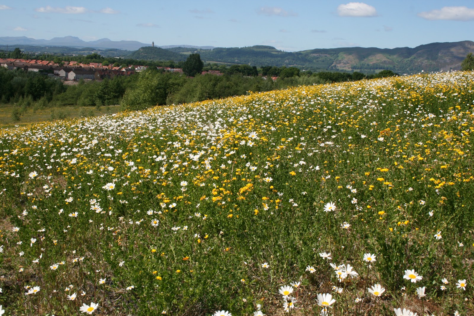 All Our Stories- 'Fallin Bing- from Coalfield to Brownfield!': Fallin ...