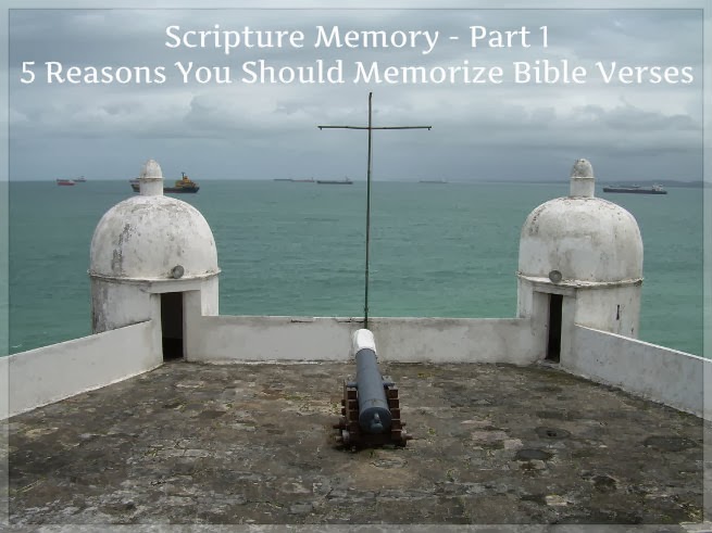 Sunshine to the Square Inch: Scripture Memory Part 1 - Five Reasons to ...