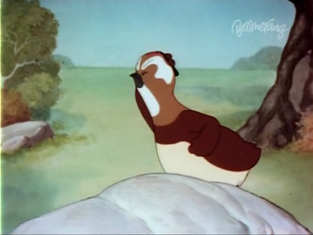 Supervised By Fred Avery: Tex Avery's Warner Brothers Cartoons: The ...