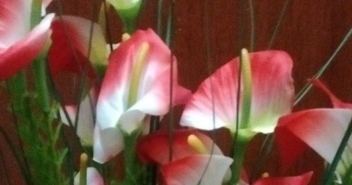 CALITAS EN VARA MEDIANAS