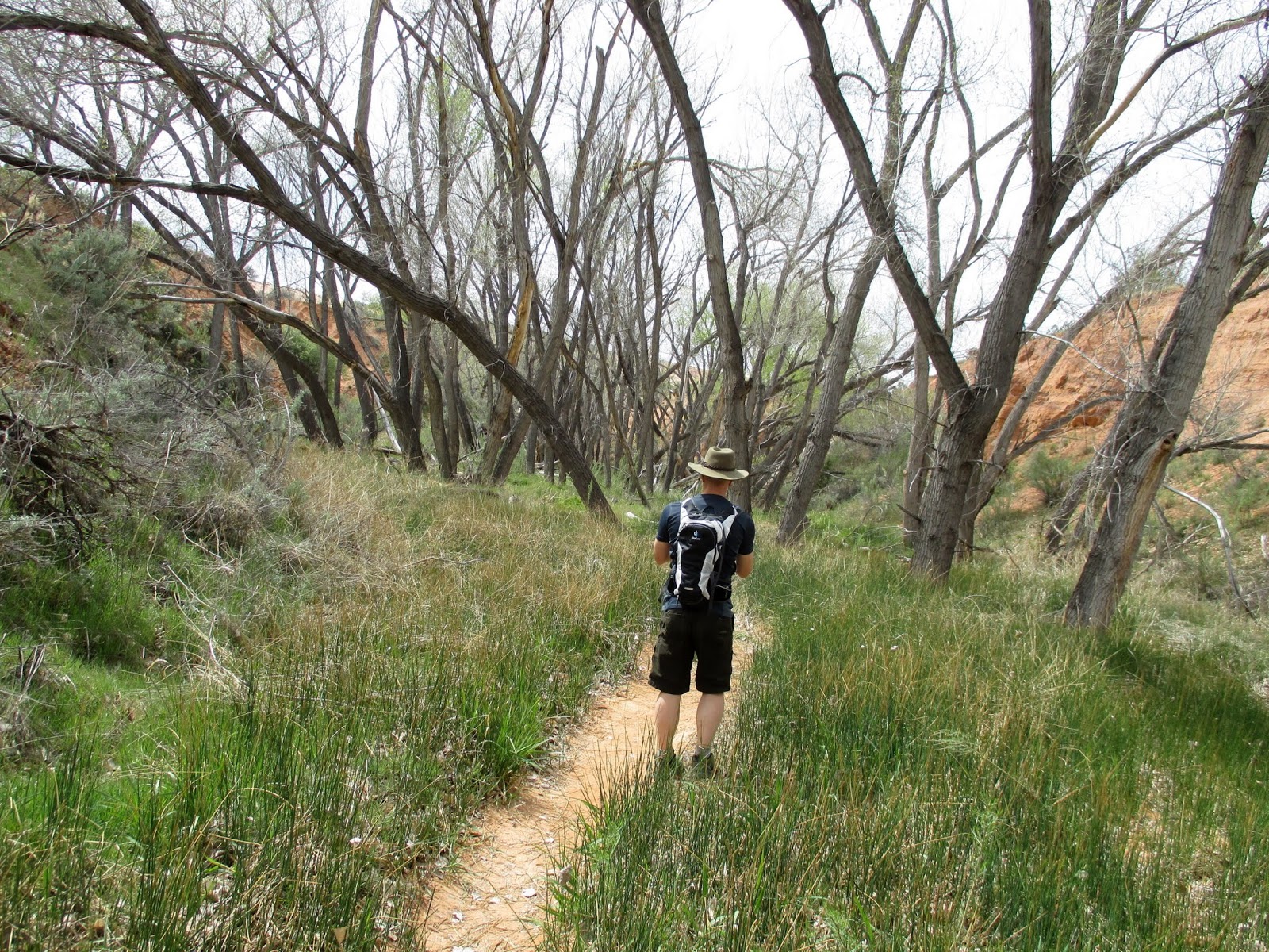 Journeys: Comb Ridge and Cedar Mesa, Utah - Ancestral Puebloan Ruins