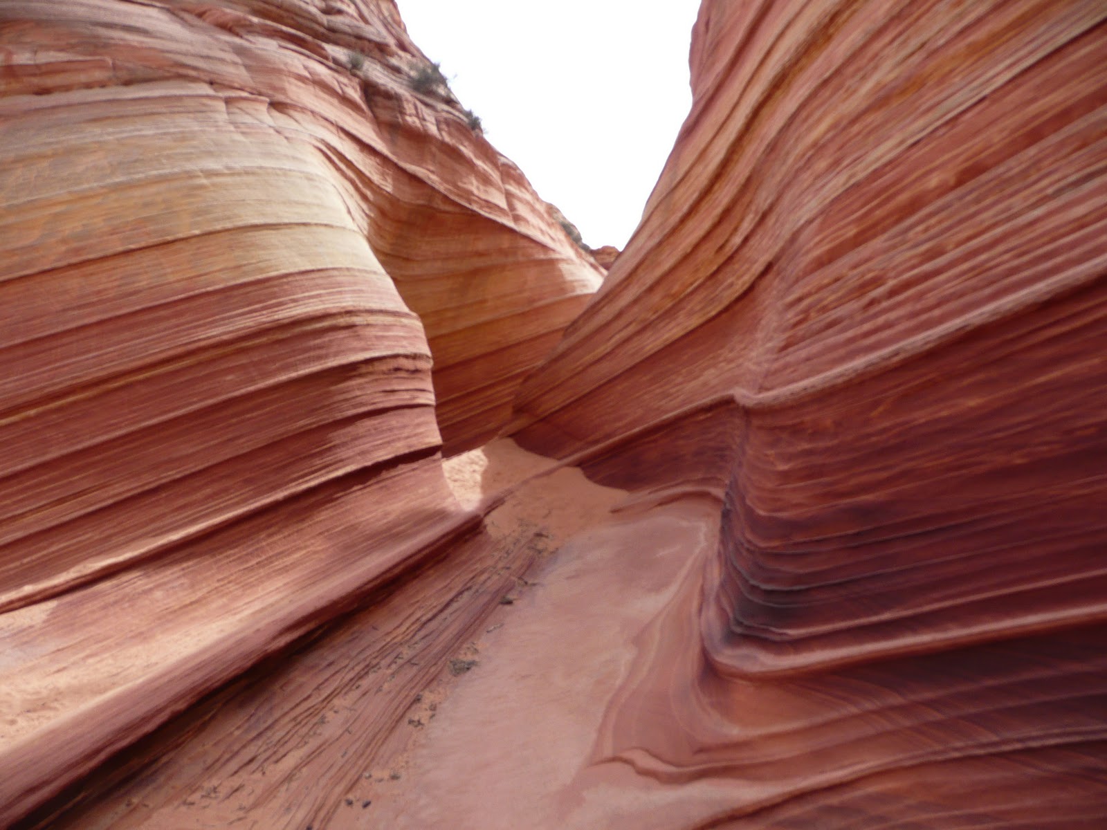 Life at 55 mph: The Wave in Coyote Buttes, Marble Canyon on the Utah ...